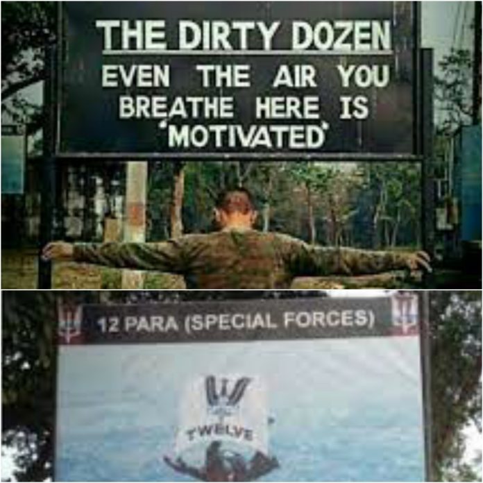 Para SF units, Nicknames and their roles - All You Need To Know | DDE