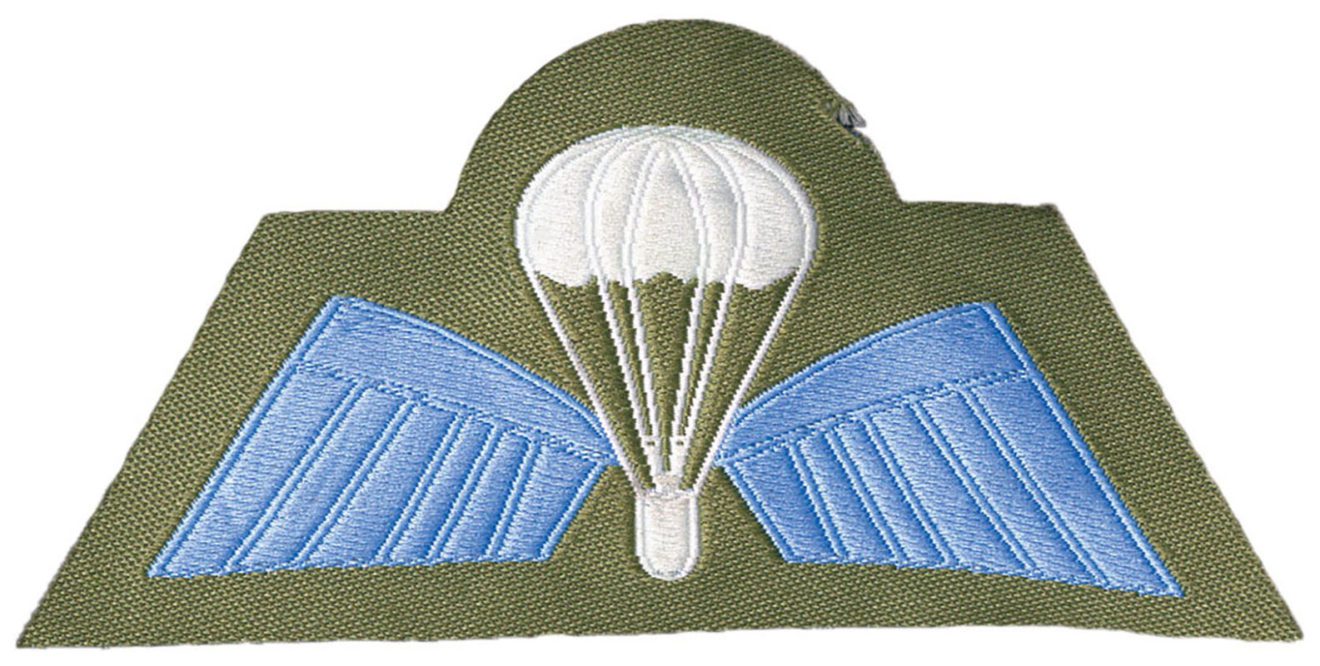 10 Different badges earned by Para Commando | DDE