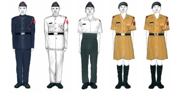 11 NDA Ranks & Powers Earned by NDA Cadet | DDE