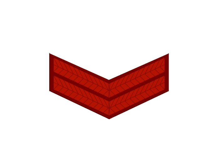 11 NDA Ranks & Powers Earned by NDA Cadet | DDE