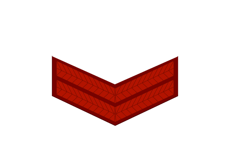 11 NDA Ranks & Powers Earned by NDA Cadet | DDE